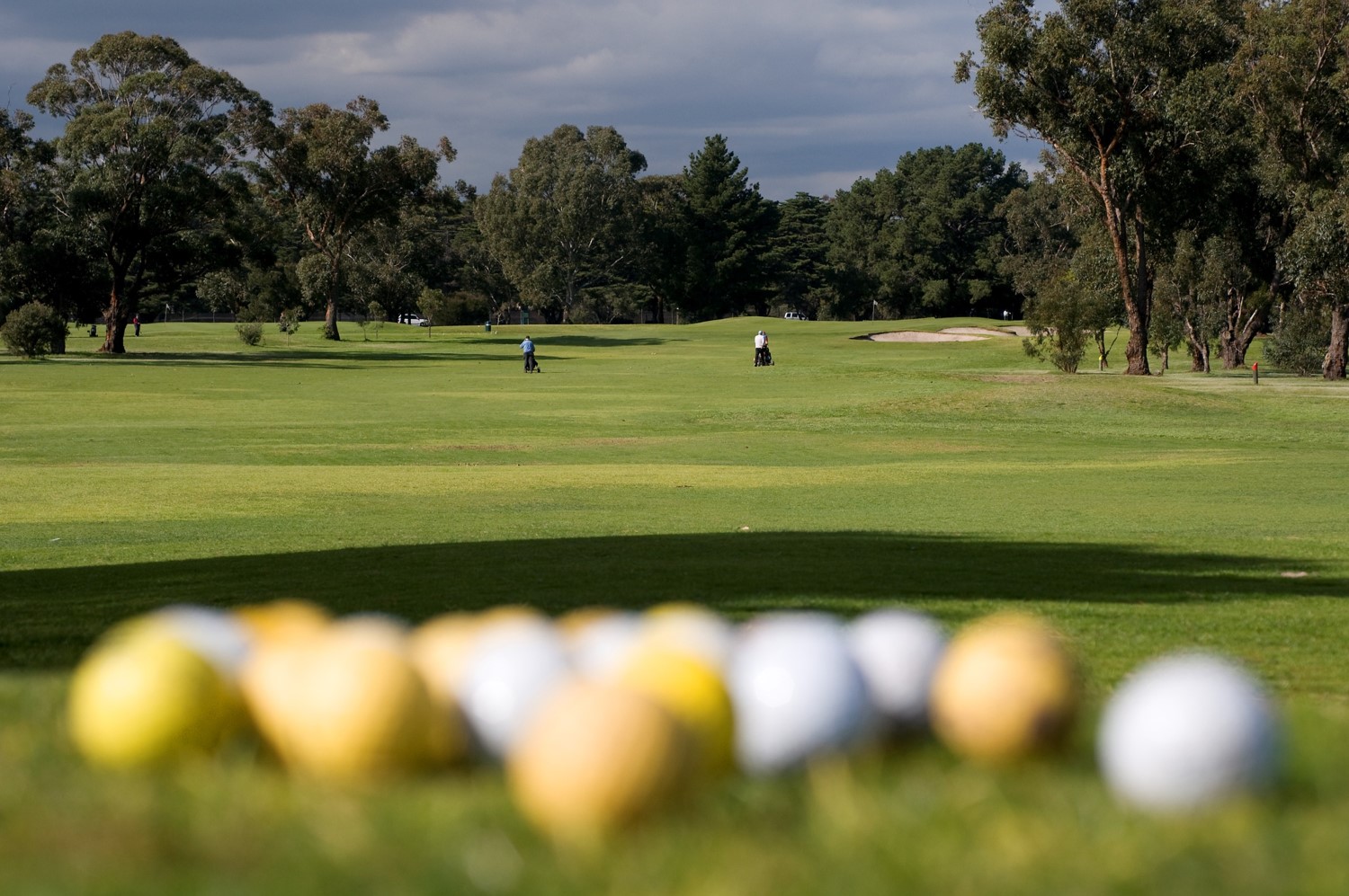 Sandringham Golf Links Project | Have Your Say - Bayside City Council